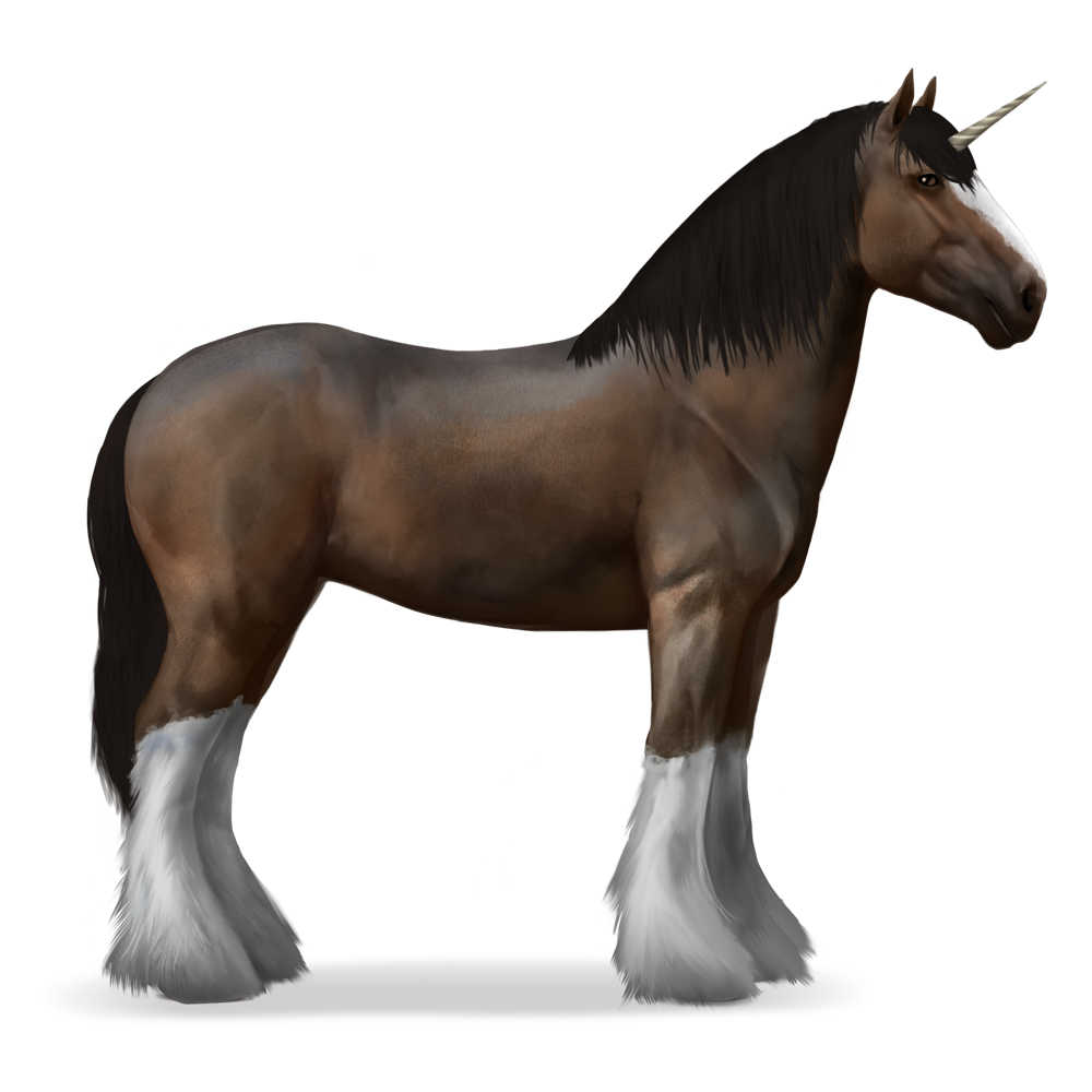 Neuheiten vom 31. März 2020 - Howrse